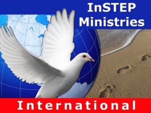 Home [www.instepmi.com]